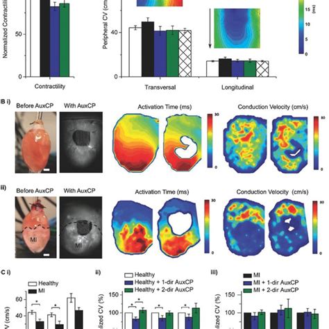 Ai Contractility Of The Myocardial Slices In Response To Field Download Scientific Diagram