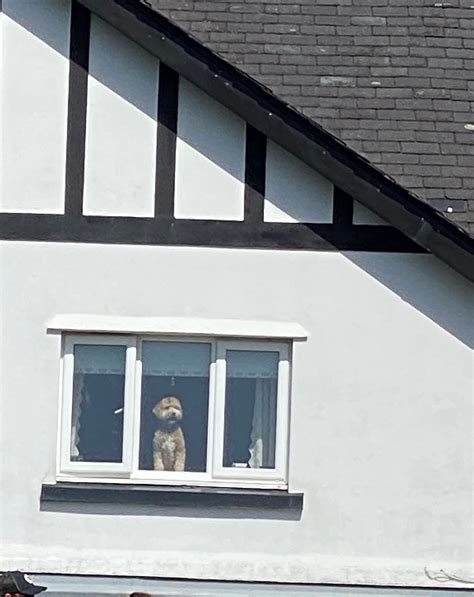 The Non Trivial Zeros Of The Riemann Zeta Function One Real Part A Day The Non Trivial