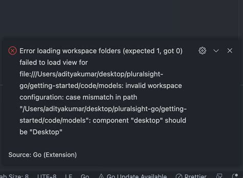 Go Invalid Workspace Configuration Case Mismatch In Path In Golang