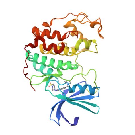 Rcsb Pdb 8erd Cyclin Free Cdk2 In Complex With Cpd17