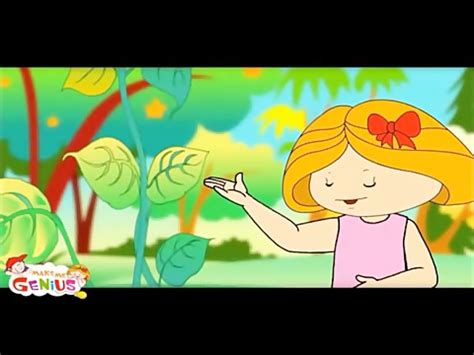 درباره ی گیاهان و طرز کار برگ