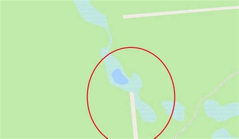 Eksperti Uzsāk Strīdu Vai Lietuvas Oficiālajās Kartēs Bijis Iezīmēts Purvs Kurā Nogrima Asv