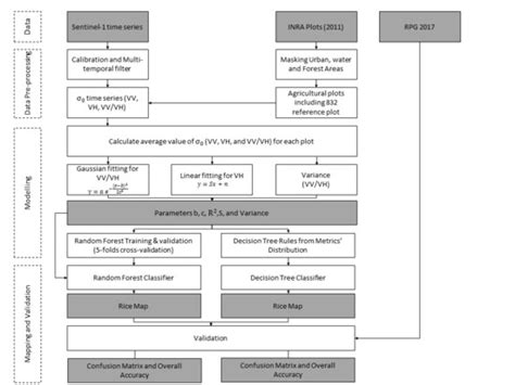Mapping Paddy Rice Using Sentinel 1 Sar Time Series In Camargue France