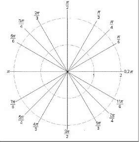 Find All Seventh Roots Of Unity And Sketch Them On The Axes Below ENotes Com
