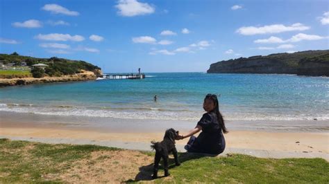 🇦🇺멜버른 그레이트 오션 로드 헬기투어헬리콥터 후기and그로또줌줌투어 조이투어 내돈내산 네이버 블로그