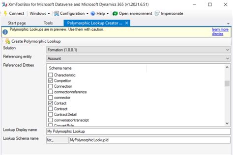 How To Create Polymorphic Or Multi Entity Lookup Field In Microsoft