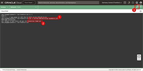 Nat 게이트웨이를 사용하여 Oracle Cloud Infrastructure 인스턴스가 인터넷에 액세스할 수 있도록 허용합니다