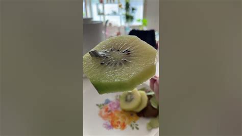 풀버전 비트코인 몰빵인생 독거노총각 이야기 비트코인 Youtube