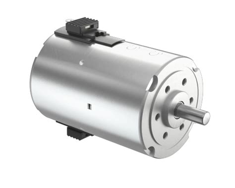 Permanent Magnet Dc Motor