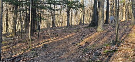 Exploring Rifle Camp Parks Woodland Nature Trail Explore North Jersey