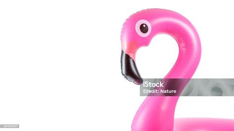 플라밍고 아이콘 흰색 배경에 고립 된 여름 해변을위한 핑크 수영장 풍선 플라밍고 트렌디 한 여름 컨셉 0명에 대한 스톡 사진 및 기타 이미지 Istock