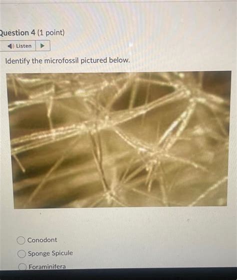 Solved Identify The Microfossil Pictured