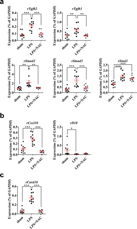 Effect Of N Acetylcysteine Nac Therapy On The Expression Of Genes Download Scientific Diagram