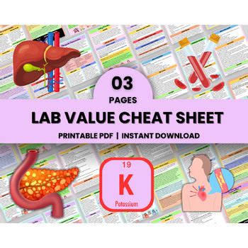 Lab Values Cheat Sheet 3 Pages Nursing Note Nurse Cheat Sheet