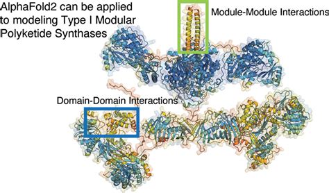 Module Based Polyketide Synthase Engineering For De Novo Polyketide Biosynthesis Acs Synthetic