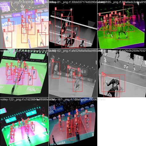 Yolov8 Workspace Weights And Biases