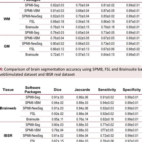 Pdf Quantitative Comparison Of Spm Fsl And Brainsuite For Brain Mr