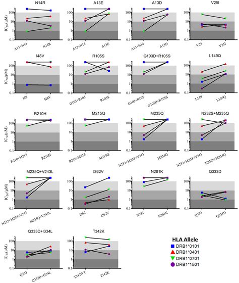 Peptide Binding Affinities For Human Mhc Ii Proteins Ic50 Values Are Download Scientific