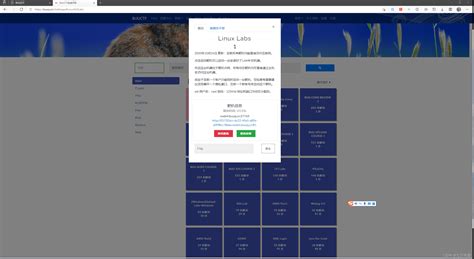 Buuctf Basic Linux Labsbuuctf靶机连不上 Csdn博客 Buuctf Basic Linux Labsbuuctf靶机连不上 Csdn博客