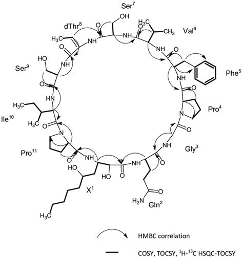 Selected Correlations Obtained By 2d Nmr Spectroscopy Experiments For Download Scientific