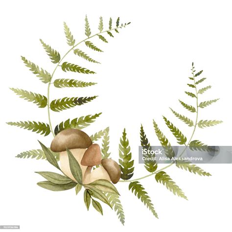 고사리와 버섯이 있는 숲 녹지 둥근 프레임 하얀 고립된 배경에 화환 삼림 식물의 손으로 그린 수채화 그림 녹색 잎이 많은 테두리