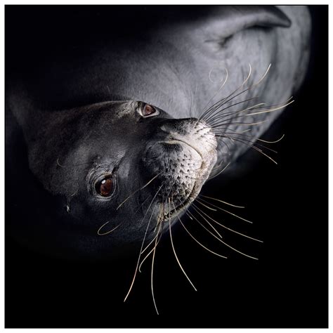 Whats Working Uniting To Protect 30 Percent Of The Ocean By 2030