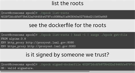 querying different aspects of a root dockerfile download scientific