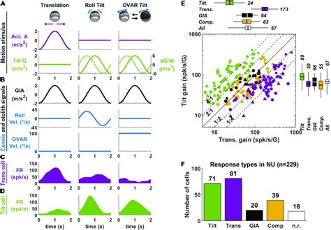 Translation And Tilt Selective Neurons In The Nu A Example Motion
