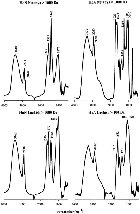 Absorbance Fourier Transform Infrared Ftir Spectra Of The 1000 Da Download Scientific Diagram