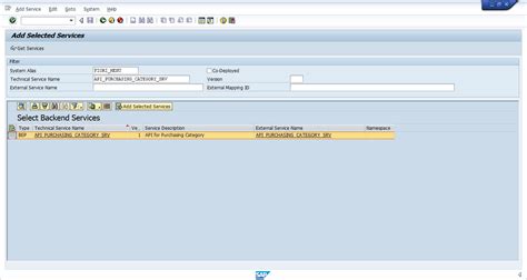 sap config rikdata oneapp
