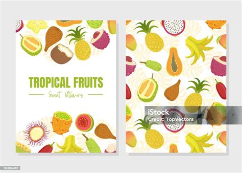 신선한 잘 익은 이국적인 과일 벡터 일러스트 와 열대 과일 달콤한 비타민 카드 템플릿 비타민에 대한 스톡 벡터 아트 및 기타