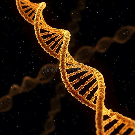 Molecular Structure Of Dna Double Helix Genetic Code Detailed
