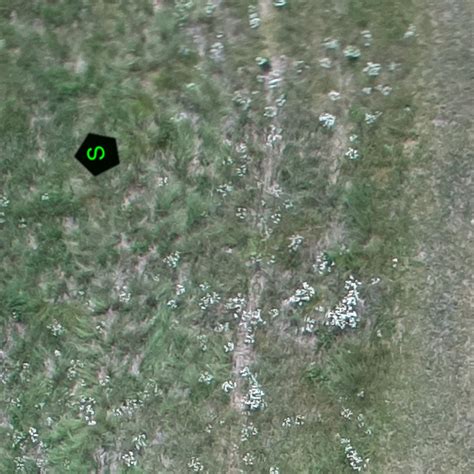 Suas Shape Detection Object Detection Dataset By Alex Eagles