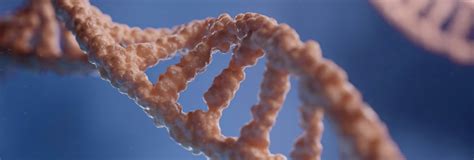 Rapid Gene Synthesis