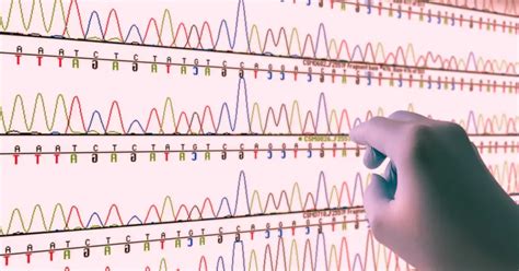 10 Challenges In Whole Genome Sequencing Genetic Education