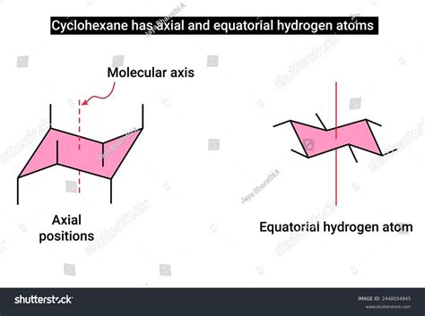 Cyclohexane Has Axial Equatorial Hydrogen Atoms Stock Vector Royalty