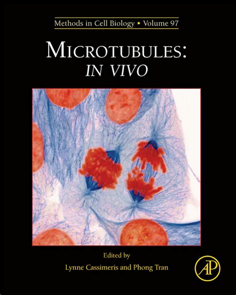 pdf microtubule dynamics in plant cells