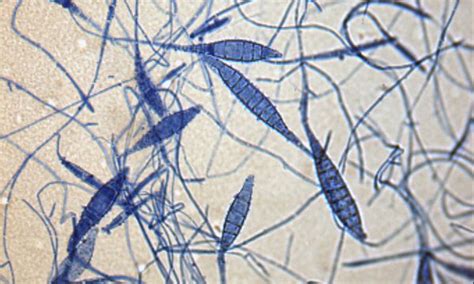 Pin On Design In Science