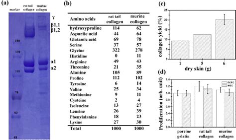 Figure 1 From Bioengineering Vascularized Tissue Constructs Using An