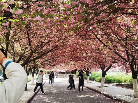 你会选择较为偏远位置的985 211 大学吗？ 知乎