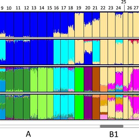 genetic structure defined using nine nuclear microsatellite loci and