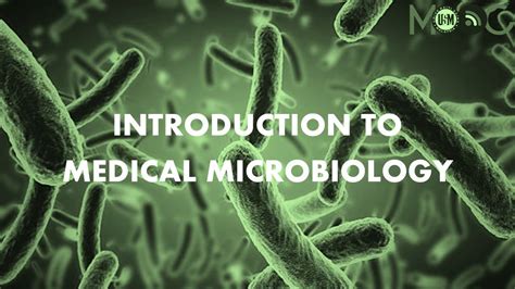 Introduction To Medical Microbiology Usm Mooc