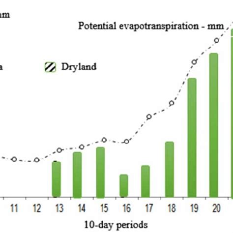 Optimal Allocation In Different Periods Scenario 1 Download Scientific Diagram