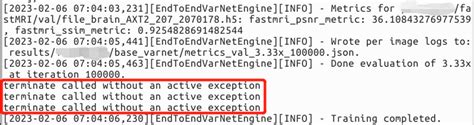 Terminate Called Without An Active Exception · Issue 238 · Nki Ai