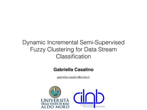 dynamic incremental semi supervised fuzzy clustering for data stream