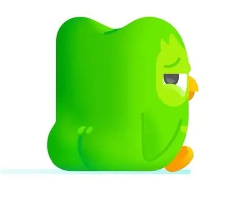 Duolingo Sparks Confusion With Dead Owl Post And New App Icon As Brand
