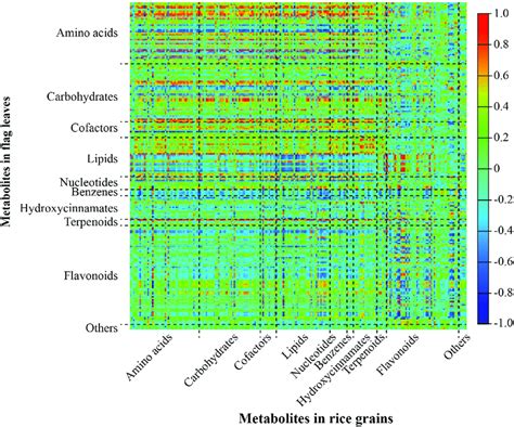 Heatmap Of Metabolite Metabolite Correlation Between Developing Rice Download Scientific