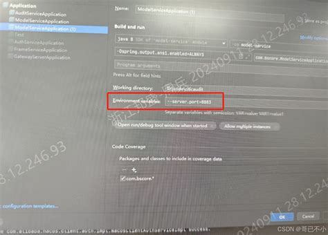 Idea单个服务多实例启动idea多实例启动 Csdn博客