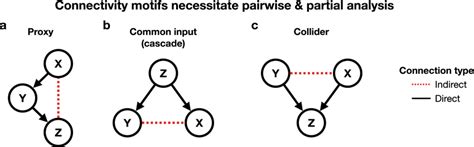 Overview Of Connectivity Motifs2325 That Can Lead To Incorrect