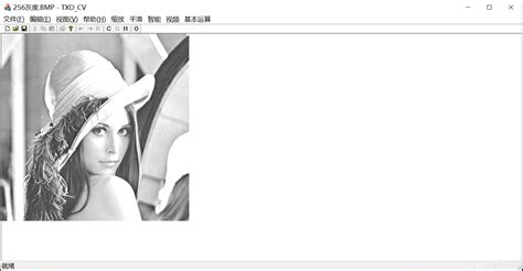 【数字图像处理】灰度直方图与点运算计算显示图像灰度直方图 Csdn博客